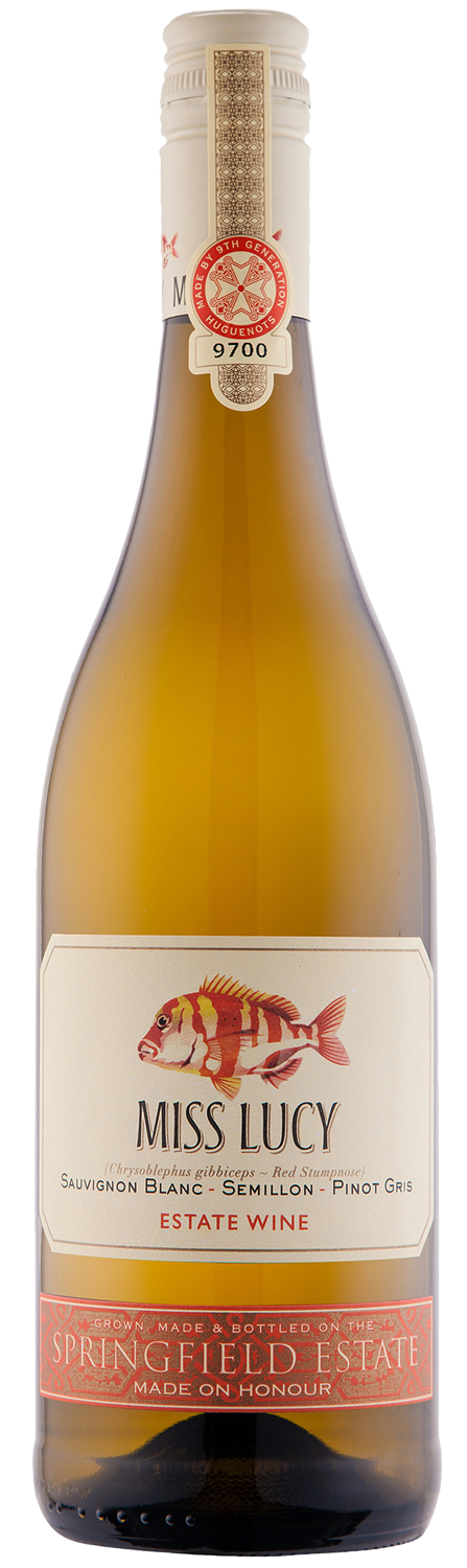 Die besten Angebote | Ringeltaube Airport Markt